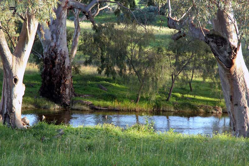 Rocky River 'Riters – Creative Writers Group